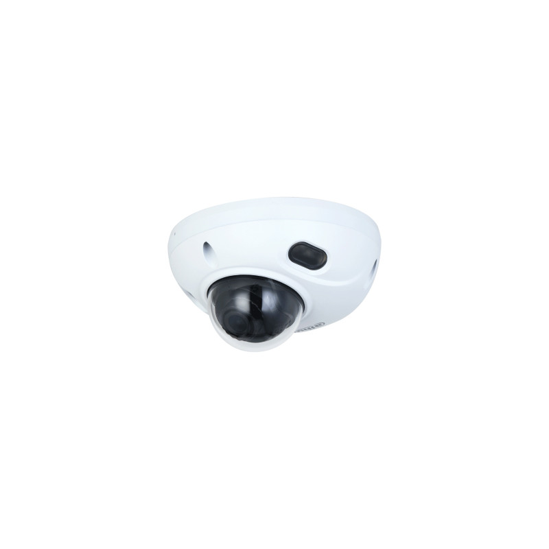 Minidome Ip Plat 2mp F2 1mm Wizsense Wdr Ir30 Sd Alarm Mic Ip67 Ik10
